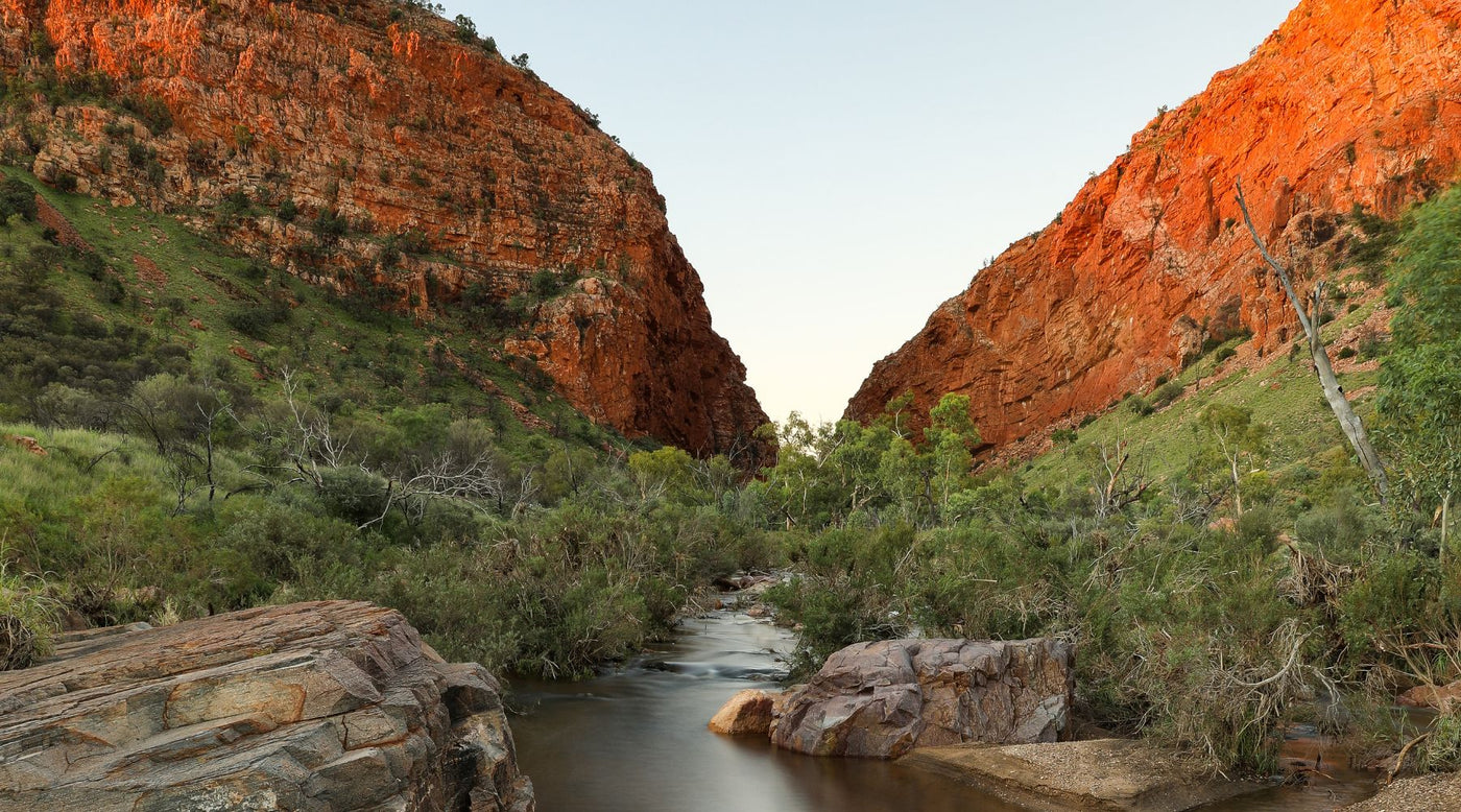 Merch – Alice Springs Brewing Co